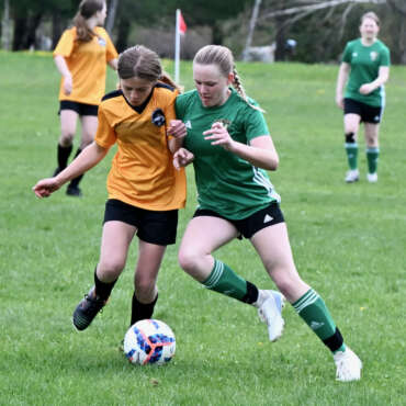 Addison United – Soccer Club